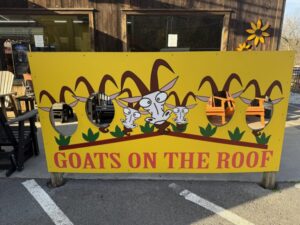 Goats on the Roof in Pigeon Forge: Coaster, Goats, and Family Fun